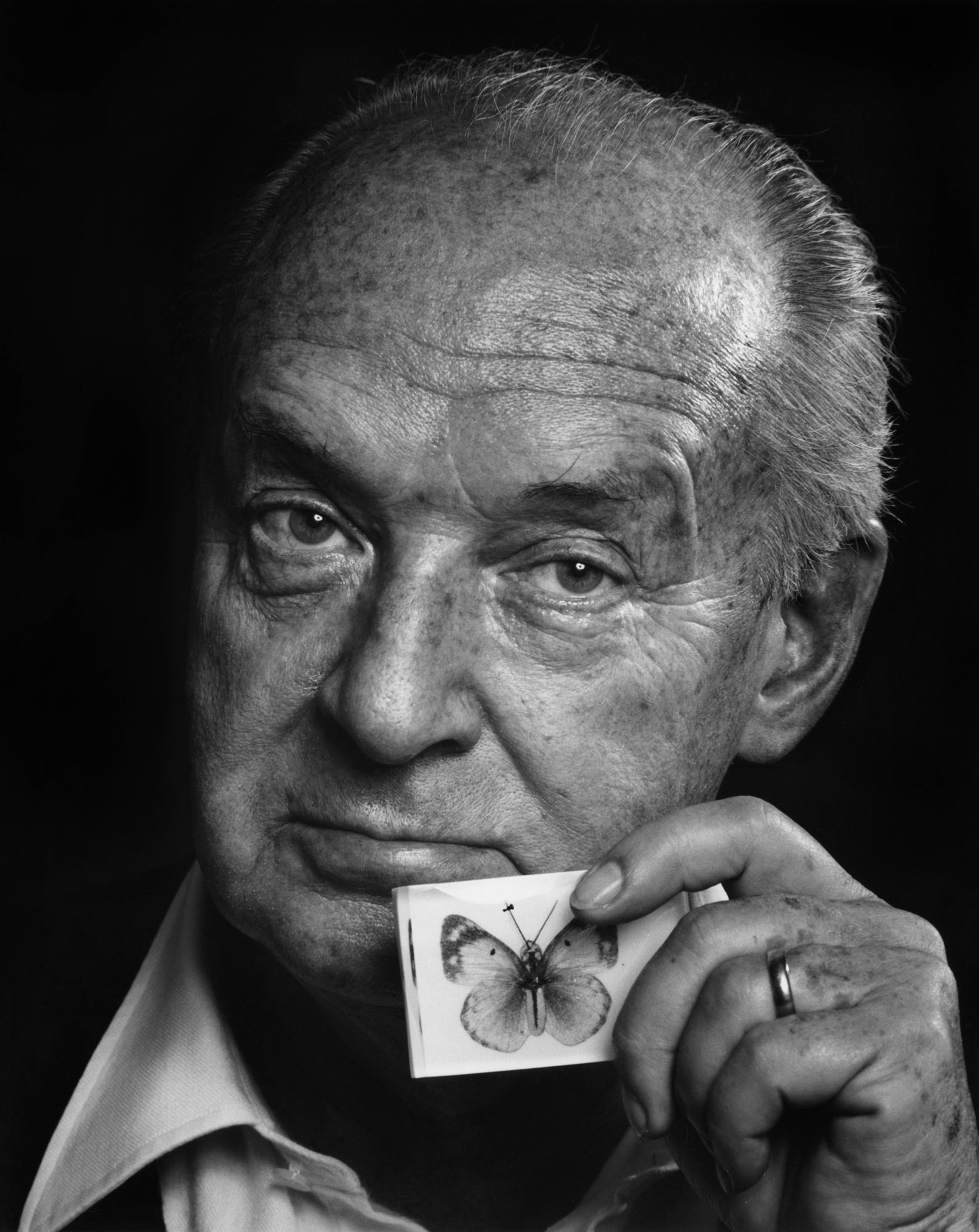 Vladimir Nabokov – Yousuf Karsh