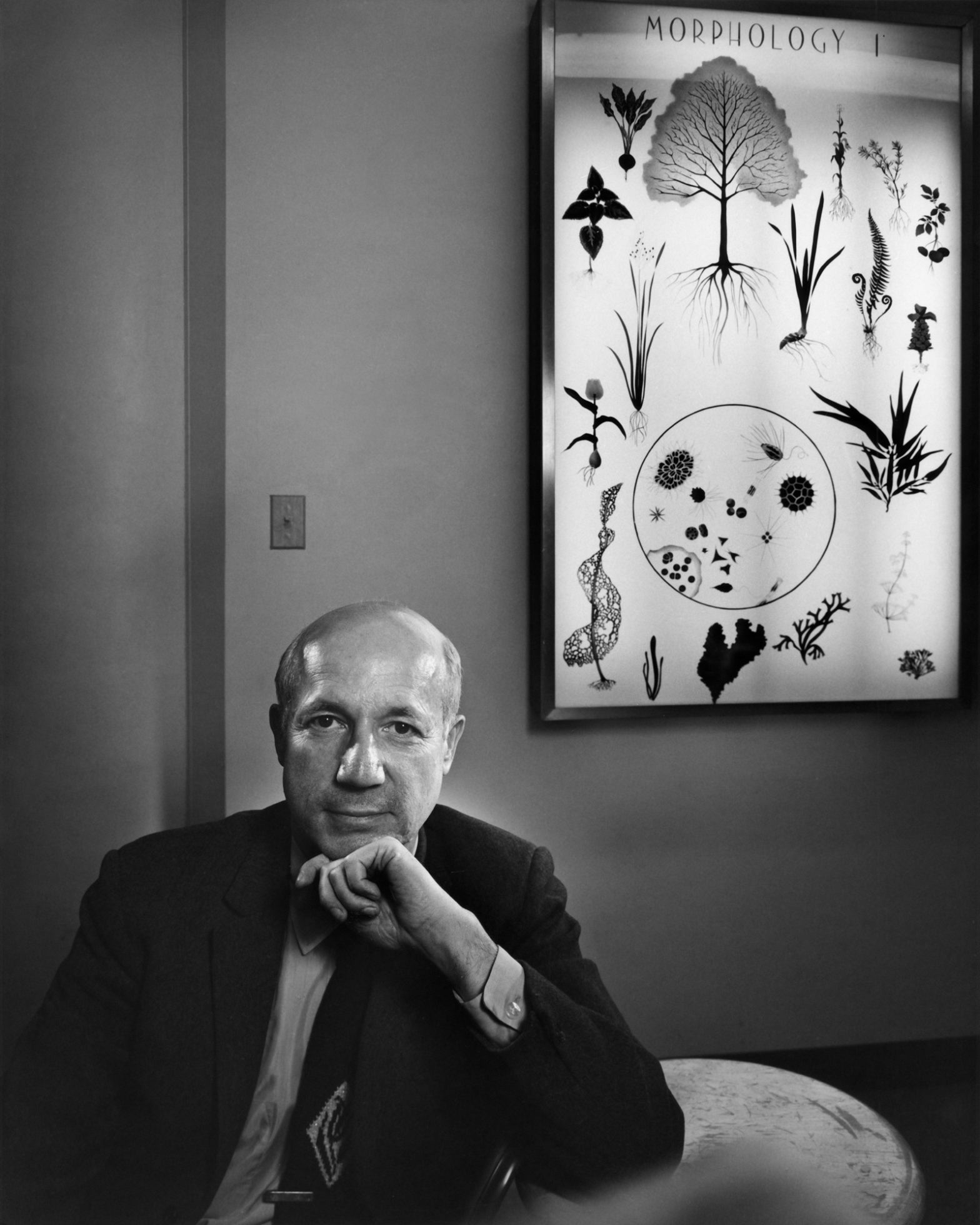 The Nobel Prize – Yousuf Karsh