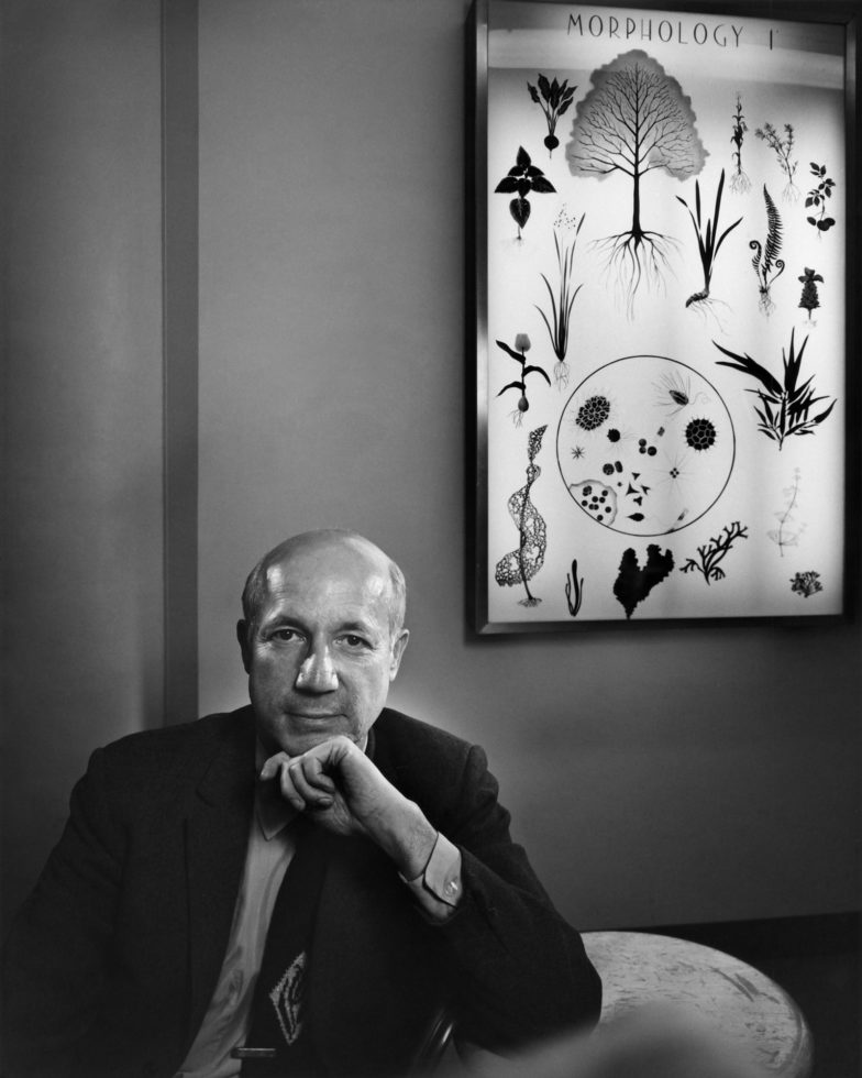 Muhammad Ali – Yousuf Karsh